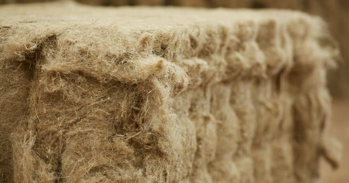 What is hemp and how do we use it | Harrison Spinks