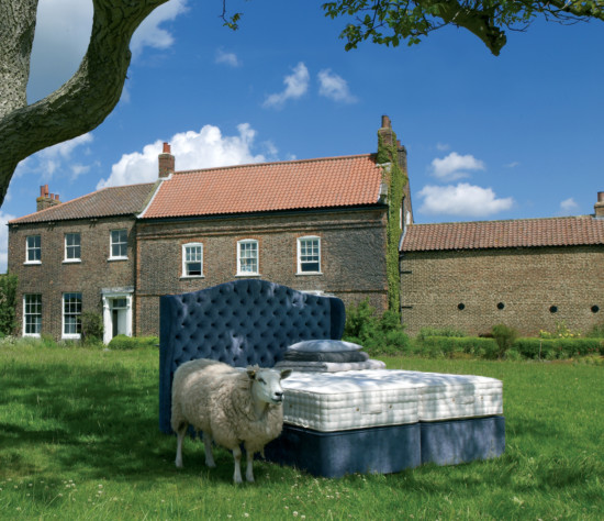 Hospitality | Harrison Spinks