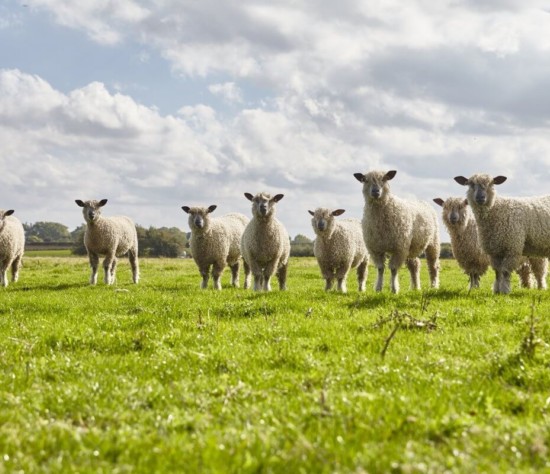 Our story | Harrison Spinks