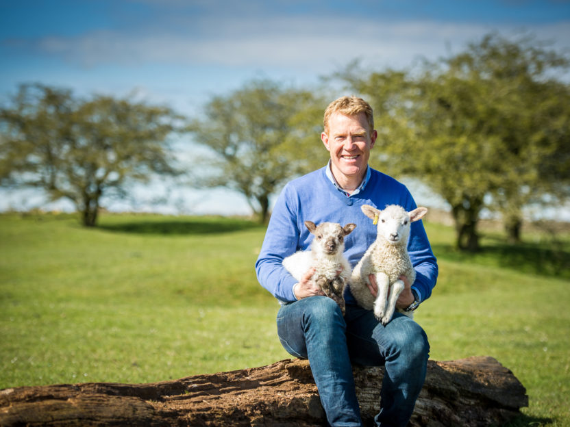 Mattress Collections | Harrison Spinks